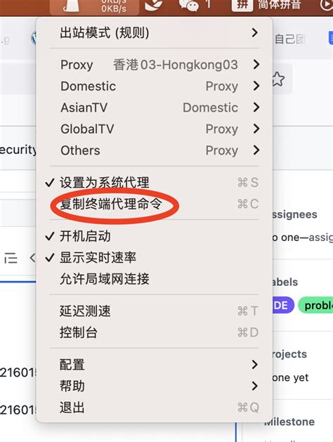 解决使用协议获取github仓库成功率低速度慢的问题 · Issue 189 · Soapguplaypen · Github