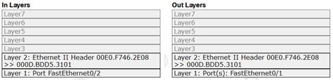 Network Ping Command Explained Command Network Bachelor