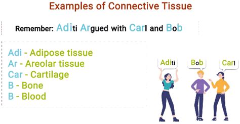 Mnemonics Structural Organisation In Animals Biology Class 11 Neet Mnemonics Structural Organisation In Animals Biology Class 11 Neet
