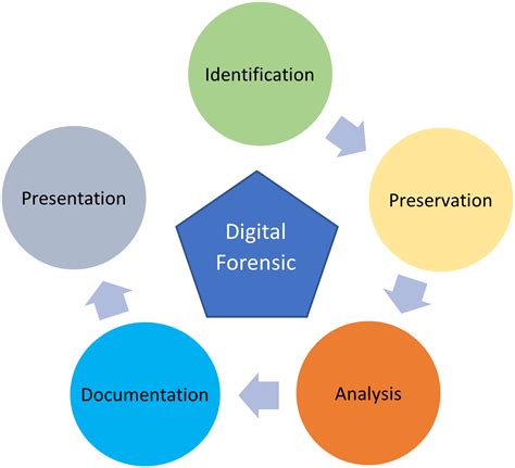 Digital Forensics Life Cycle At Guadalupe Trent Blog