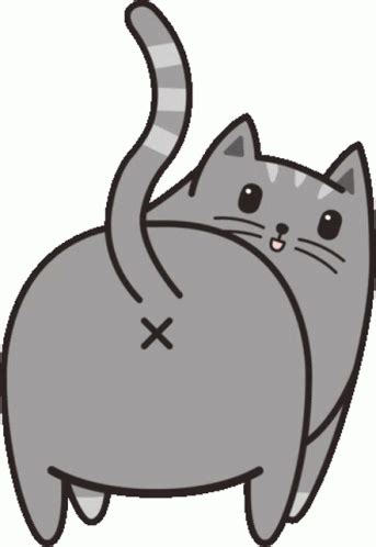 Cat Gray Sticker Cat Gray Cute Discover Share GIFs
