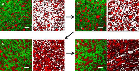 Microstructure