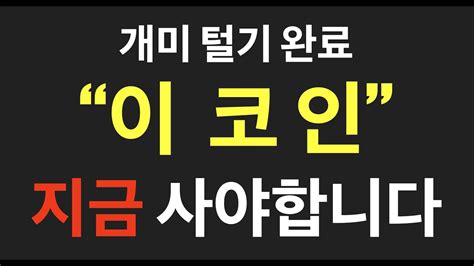 폭등직전의 징조 개미털기 완료된 이 코인 지금 당장 사야합니다 리플 암호화폐 이더리움 코인 가상화폐 비트코인 Youtube