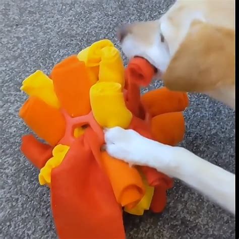 Multi Functional Pet Sniffing Puzzle Ball For Relieving Stress And