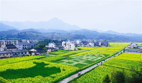 又一高颜值小山村“c位上线” 凤凰网浙江 凤凰网