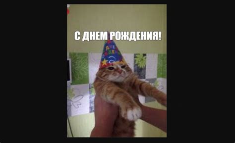 Создать мем кот вжух кот с днём рождения котик Картинки Meme
