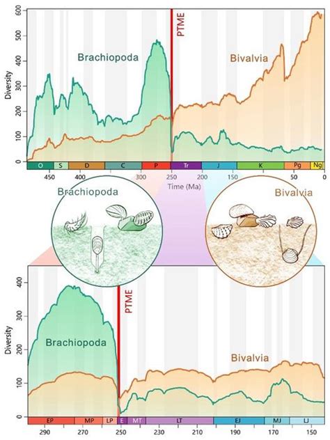 Fig 2 IMAGE EurekAlert Science News Releases