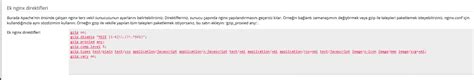 Plesk Gzip Etkinleştirme Soner Usta