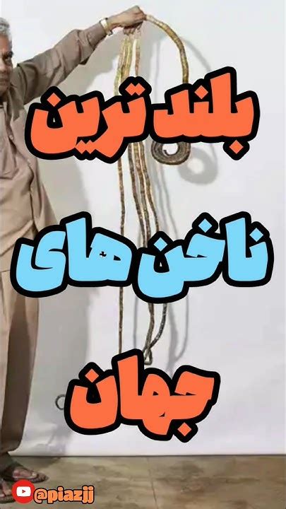 بلند ترین ناخن های جهان🟠 Youtube