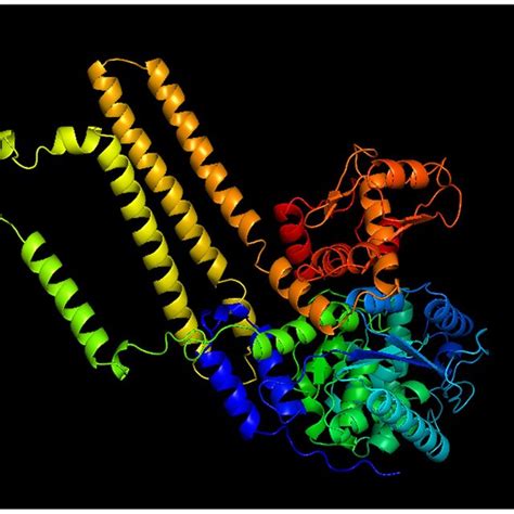 Schematic Representation Of The Multi Epitope Vaccine Construct