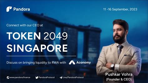 rwa aconomy web3community dex pandorafinance tokenization