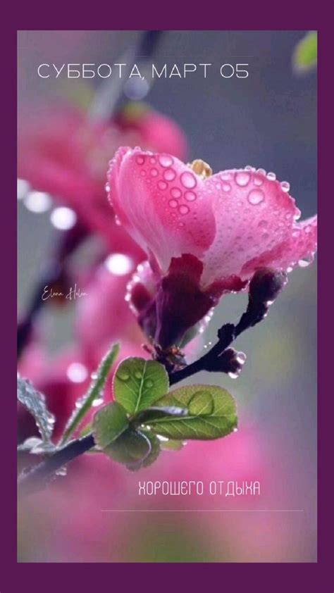 Доброе утро суббота