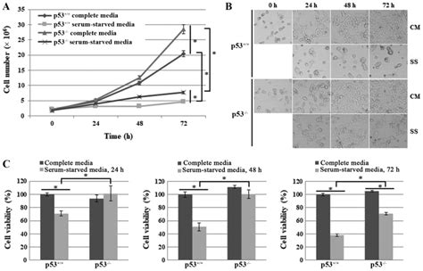 Inhibitory Role Of Amp‑activated Protein Kinase In Necroptosis Of Hct116 Colon Cancer Cells With