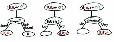 Decision Trees How To Optimize My Decision Making Process James Le