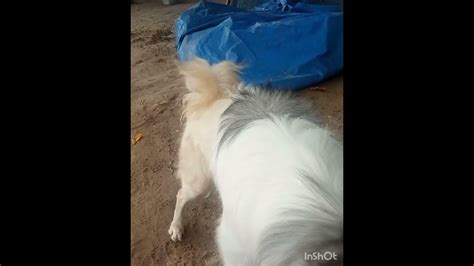 நல்ல பையன் தானே நீ Youtube