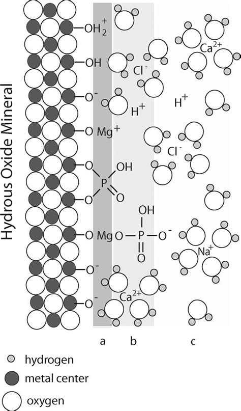 Inner And Outer Sphere Complex Fasrfranchise