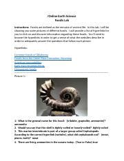 Fossils Lab Docx Online Earth Science Fossils Lab Instructions Fossils Are Defined As The
