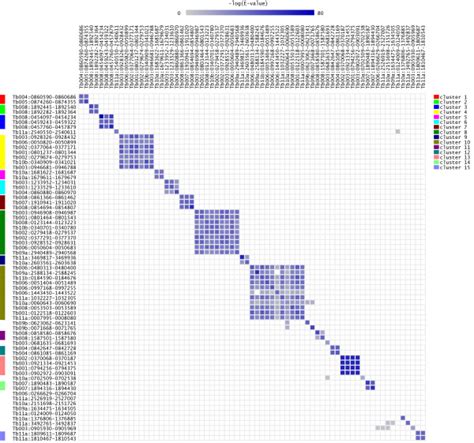 Homology Table For The Predicted Ncrnas Many Candidate Ncrnas Can Be Download Scientific