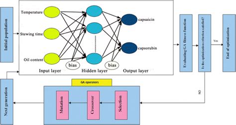 Schematic Of Optimization Procedure Of Neural Network Using Genetic