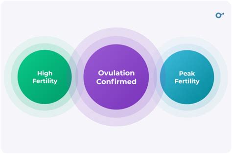 What Do Your Progesterone Levels Mean After Ovulation Inito