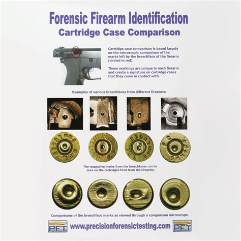 Cartridge Case Size Comparison At Jill Sapp Blog