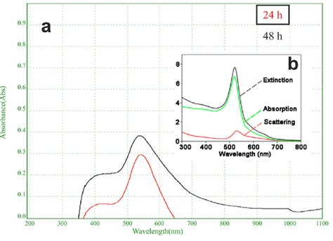 A Uv Visible Absorption Spectrum Of Aunps Of Intracellularly