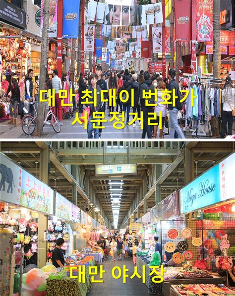 주제주드림여행사