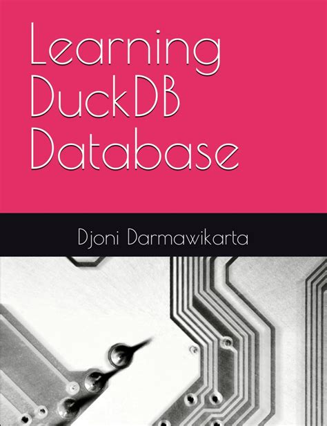 learning duckdb database darmawikarta djoni 9798884206915 amazon