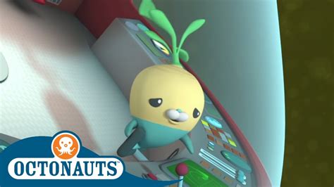 Octonauts Tunip