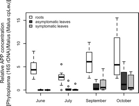 The Relative Concentration Of App Throughout The Vegetation Period Download Scientific Diagram