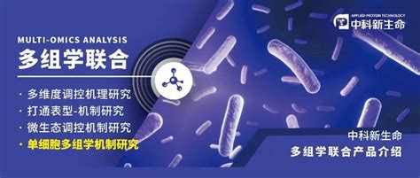 Immunity IF 31 428 单细胞转录组 16s乳酸菌化身胰腺癌帮凶 肿瘤 免疫 研究