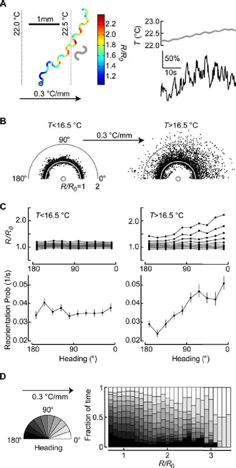Representation Of Behaviorally Relevant Thermosensory Information In