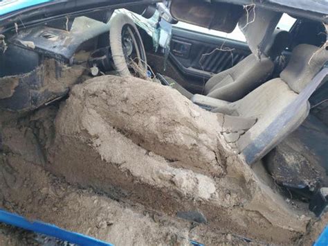 1991 Camaro RS 305 TBI 5-Speed Manual - Hawks Third Generation