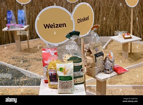 Symbolic Photo Of Grain Types Wheat And Spelt Stock Photo Alamy
