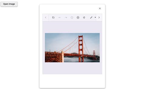 Clear An Image With Blazor Image Editor Component Syncfusion