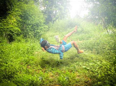 무료 이미지 나무 자연 숲 잔디 도서 목초지 햇빛 모험 나는 점프하는 녹색 밀림 떠 있는 익스트림 스포츠 여가 공중 부양 열대 우림 삼림지