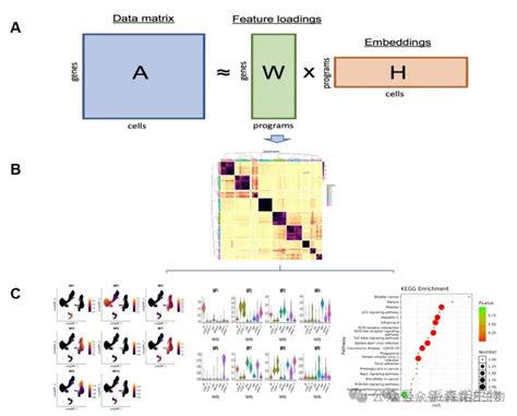 单细胞高分图片复现（独家代码附上）之系列八：单细胞nmf非负矩阵分析 知乎