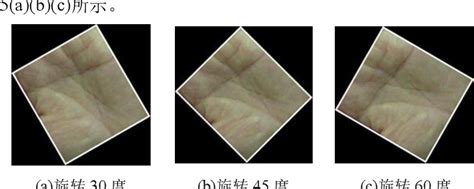 Figure 5 From Color Palmprint Feature Recognition Algorithm Based On