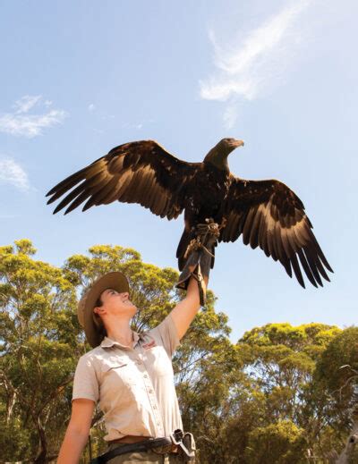Kangaroo Island Iconic Sights And Wildlife Kangaroo Island Coachlines