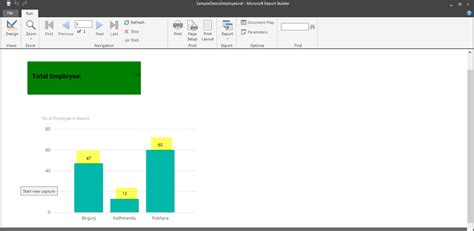 build a ssrs rdl report from microsoft report builder part two