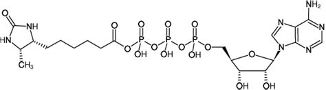 Atp Acetyl Desthiobiotin Sondas Para Proteínas Ligadoras De Atp Cellco