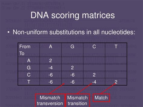ppt pairwise sequence alignment powerpoint presentation free