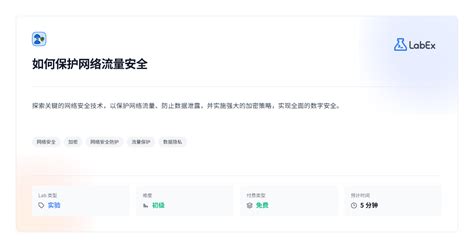 如何保护网络流量安全 Labex