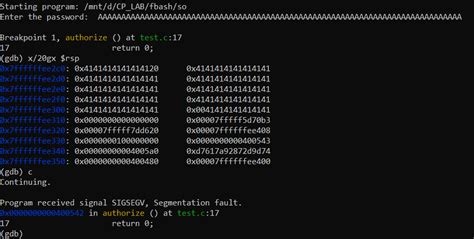 C Why Too Much Data Fails To Overwrite Instruction Pointer Stack