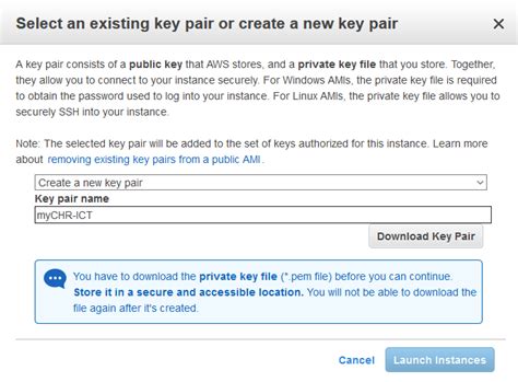 Instalacja Mikrotik Chr W Aws Ec2 Mikrotik Academy