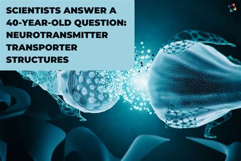 Scientists Answer A 40 Year Old Question Neurotransmitter Transporter Structures The