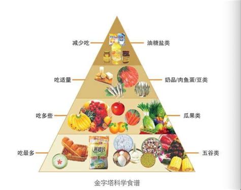 河南过半人超重或肥胖!而你的肥胖和 三高”,可能是 饿”的! 大河号 大河网 河南过半人超重或肥胖!而你的肥胖和 三高”,可能是 饿”的! 大河号 大河网