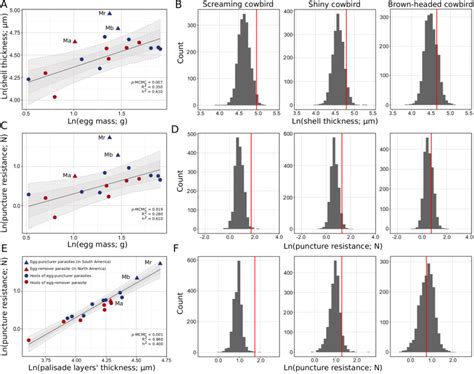 [figure 4 11] Phylogenetic Evolutionary Association And Evolutionary Download Scientific