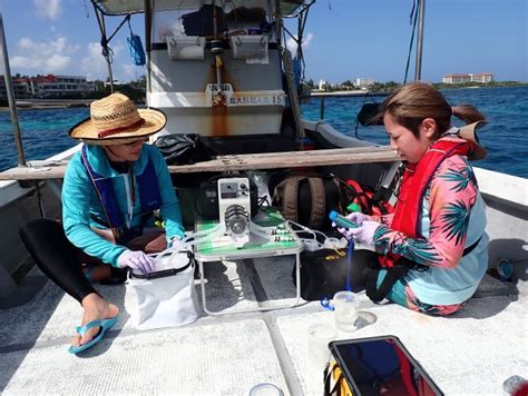 Coral Biodiversity Measured By Edna Seawater Samples Reef Builders