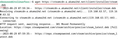 How To Install Steam On Debian Its Linux Foss
